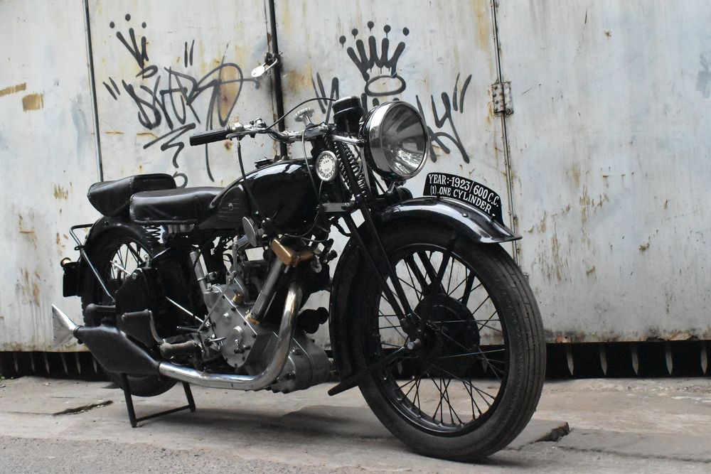 A Rare & Beautiful Panther Sloper from Calcutta