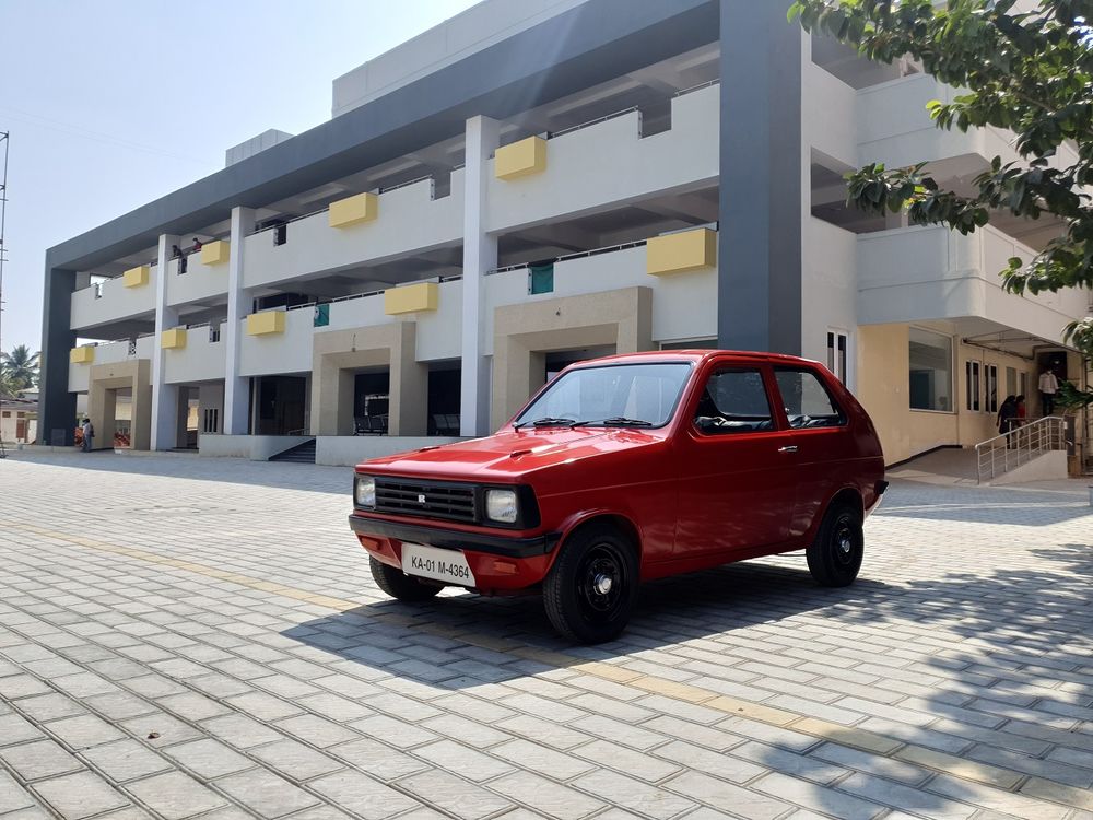 The Sipani Dolphin Adventure—Part 2