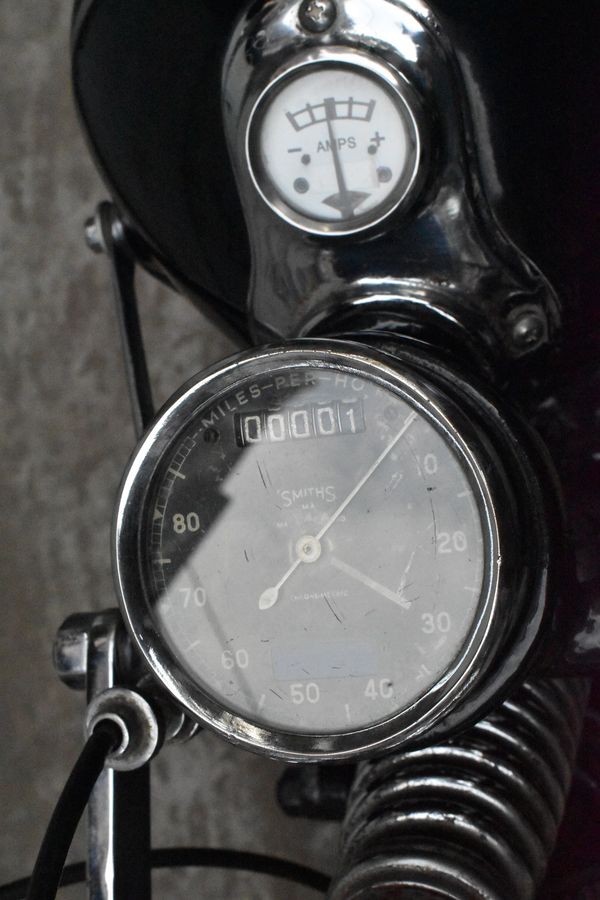 A Rare & Beautiful Panther Sloper from Calcutta